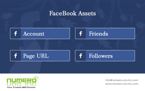 What are Social Media Assets | Twitter LinkedIn Facebook Assets ...