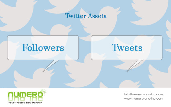 What are Social Media Assets | Twitter LinkedIn Facebook Assets ...